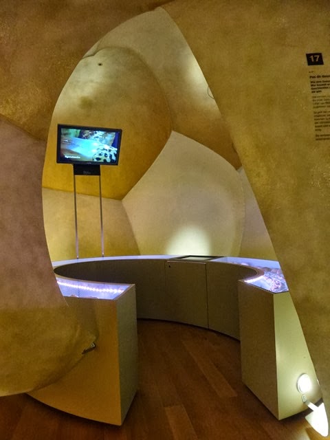 Jacques Huber and the Amazonian Botany: 2013