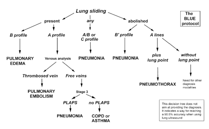Ecocríticos: Relevance of Lung Ultrasound in the Diagnosis of Acute ...
