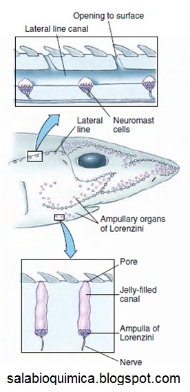 Sala BioQuímica: Setembro 2011