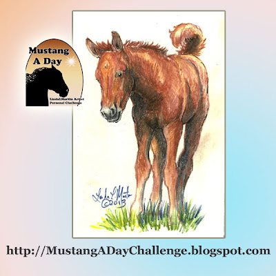 Mustang A Day Personal Challenge of LindaLMartin: Rambo 2013 Foal of ...