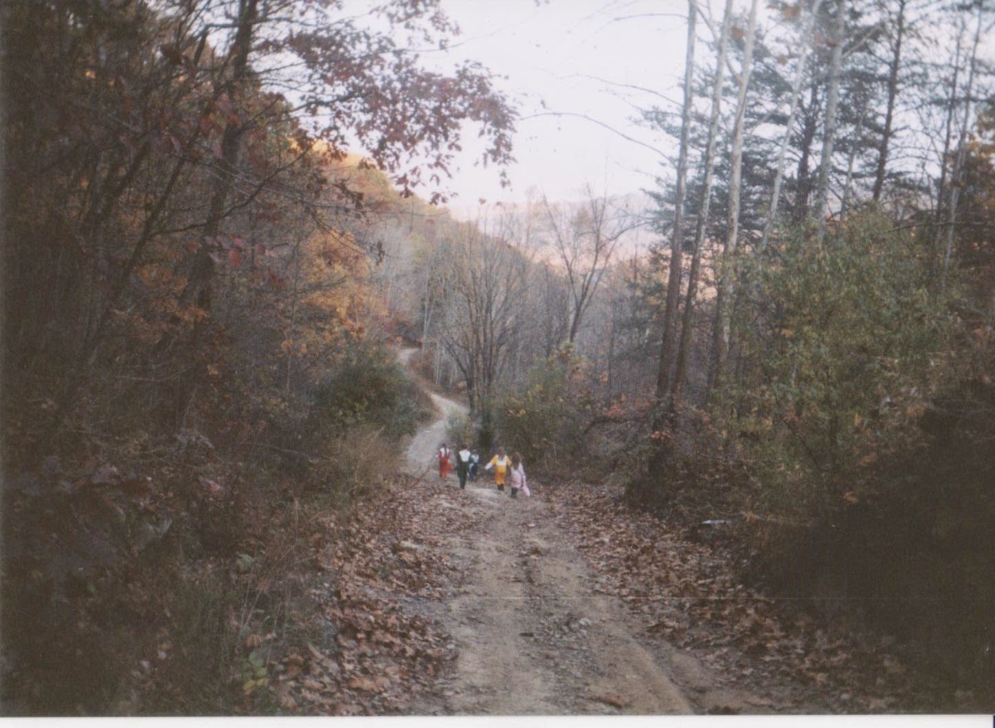 The Linefork Years: Introduction