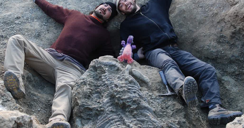 Paludidraco , un manatí reptiliano de hace 230 millones de años ...