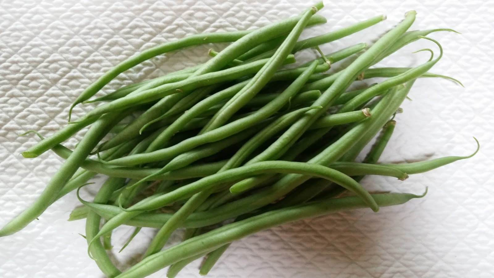 Eight Gate Farm - New Hampshire: Harvest Monday - 31 July 2017