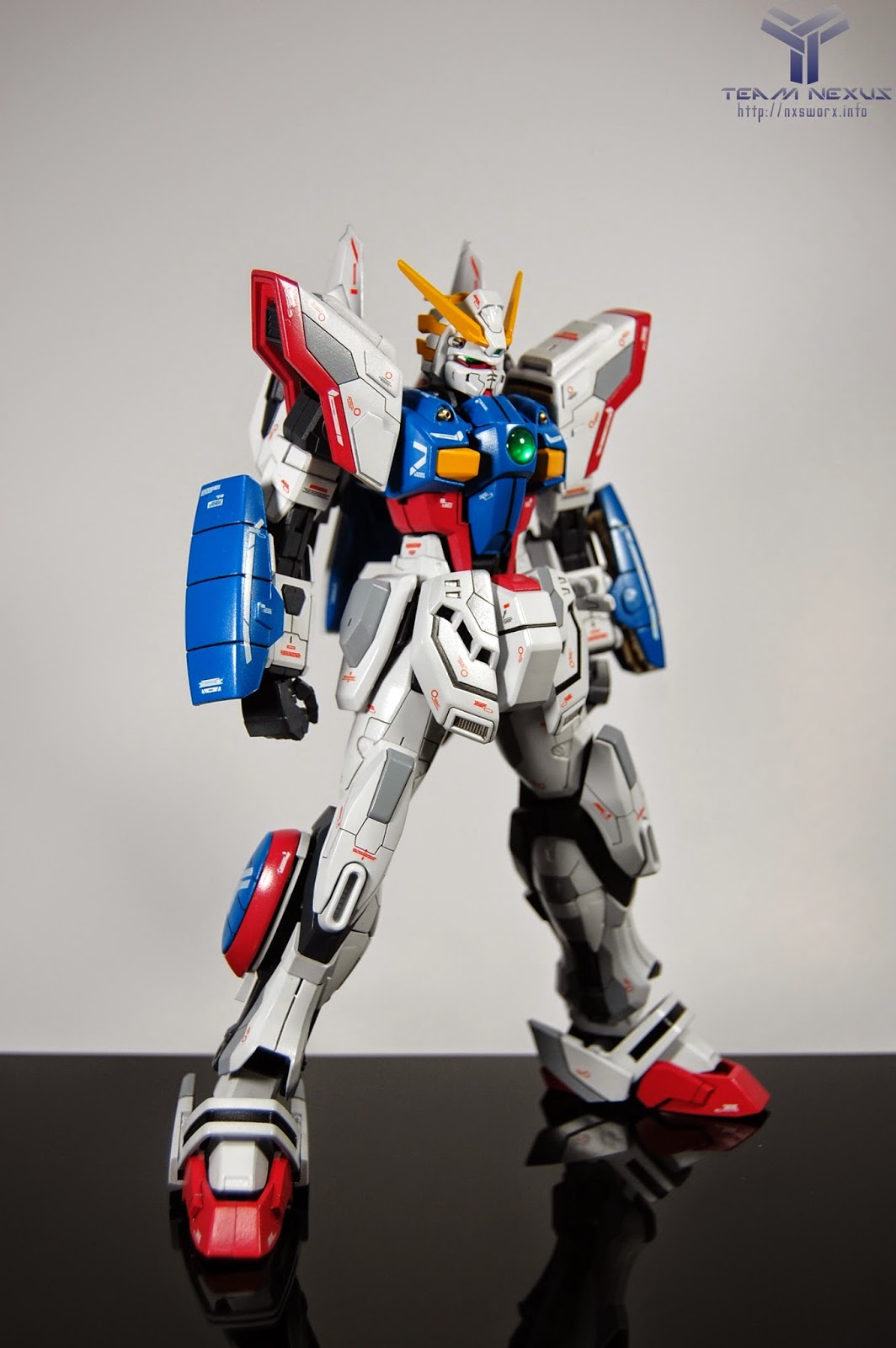 Custom Build: MG 1/100 Shining Gundam "Evolve"