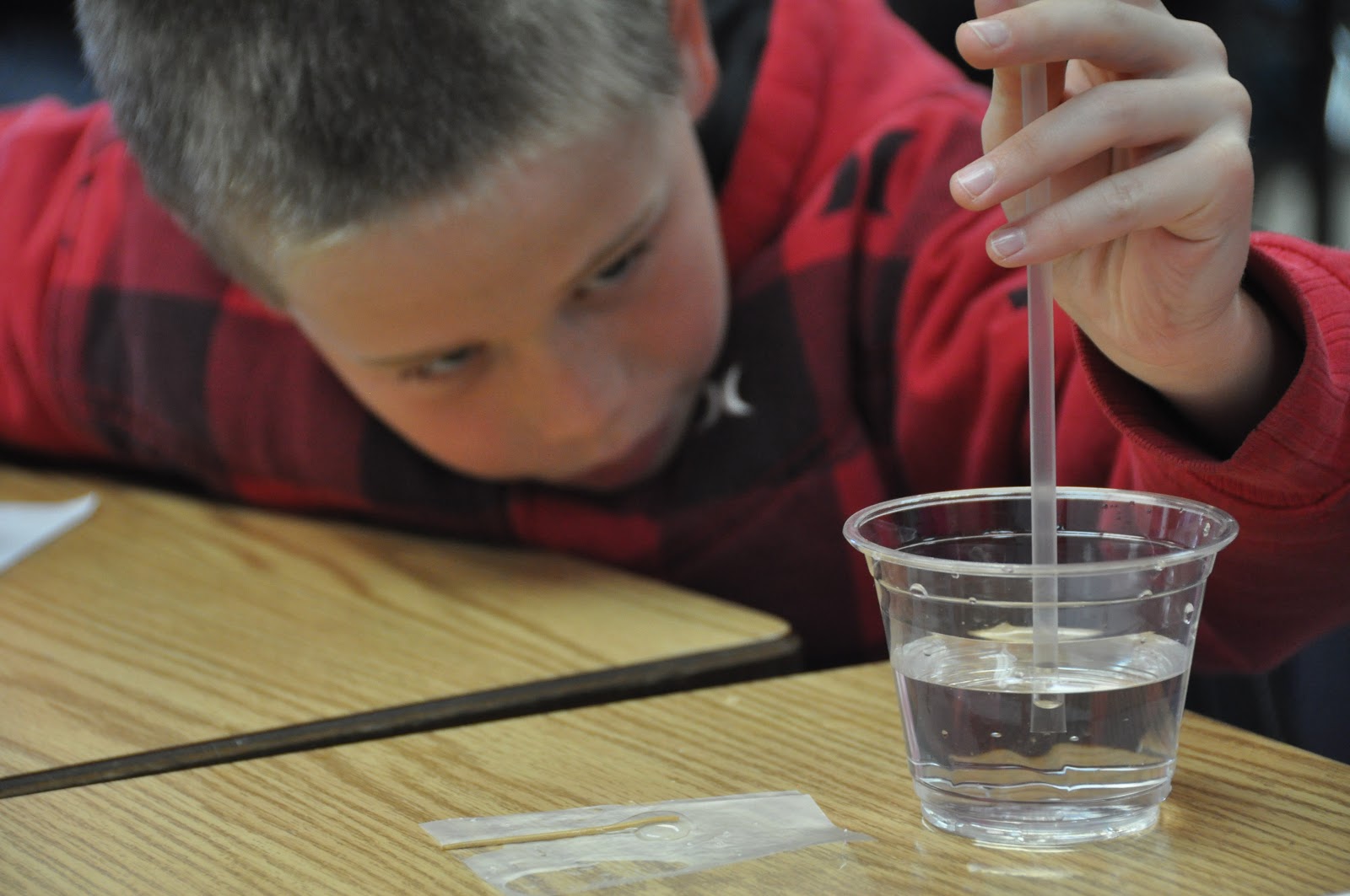 The New Room 17 News (formerly Room 5 and Room 8!): Adhesion...another ...