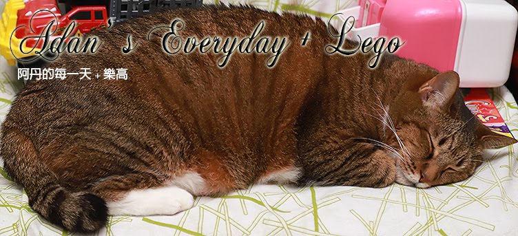 Adan's Everyday: Adan-dan went to rainbow bridge this morning