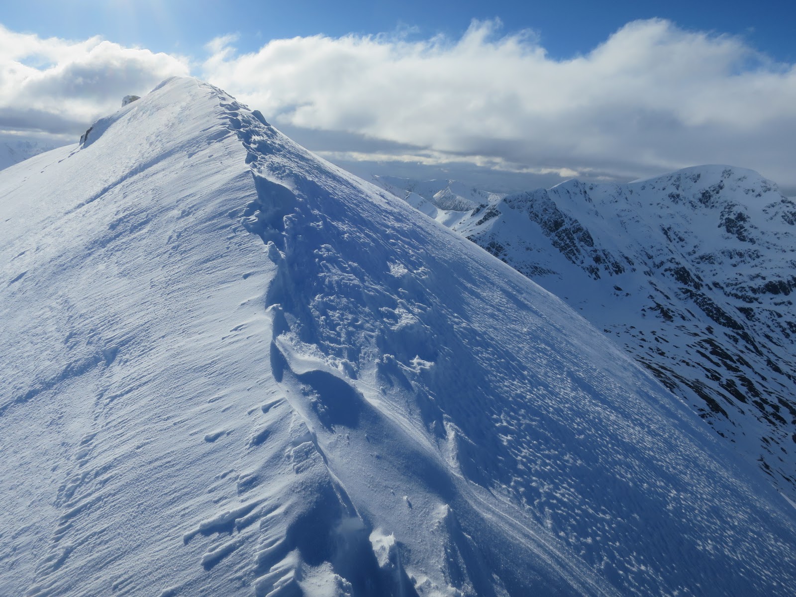 Winter Tranter Round Record