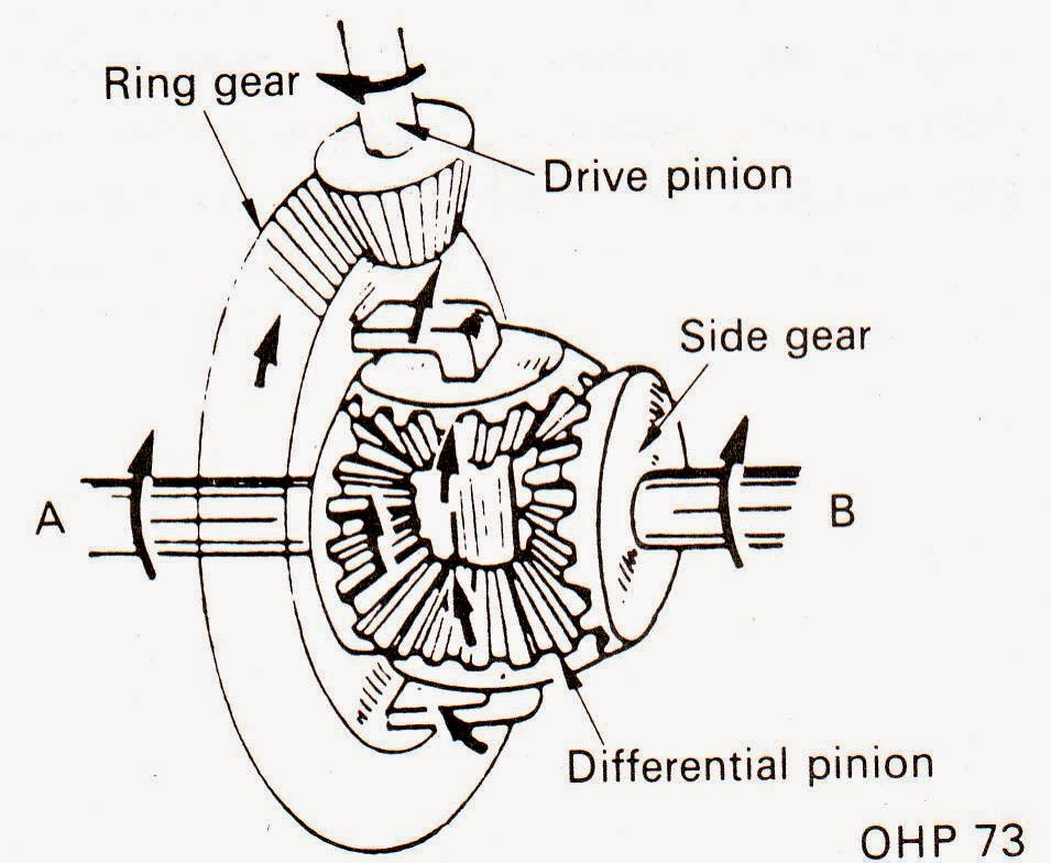 Automotive Education: Differential