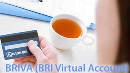 Bri Virtual Debit - GLOBAL ELIT