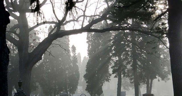 Celebrating Life, Death, Pain