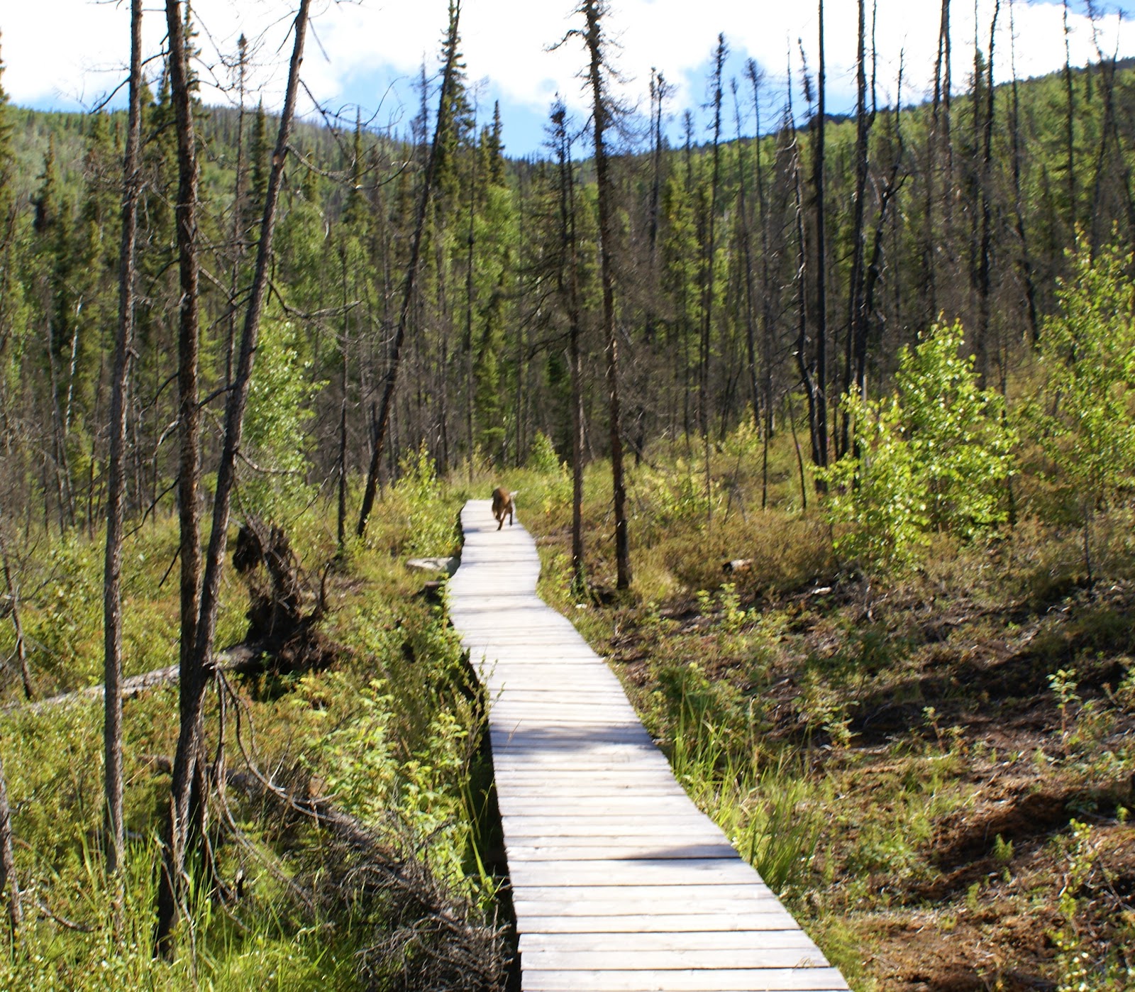 Hike up the Angel Rocks Trail