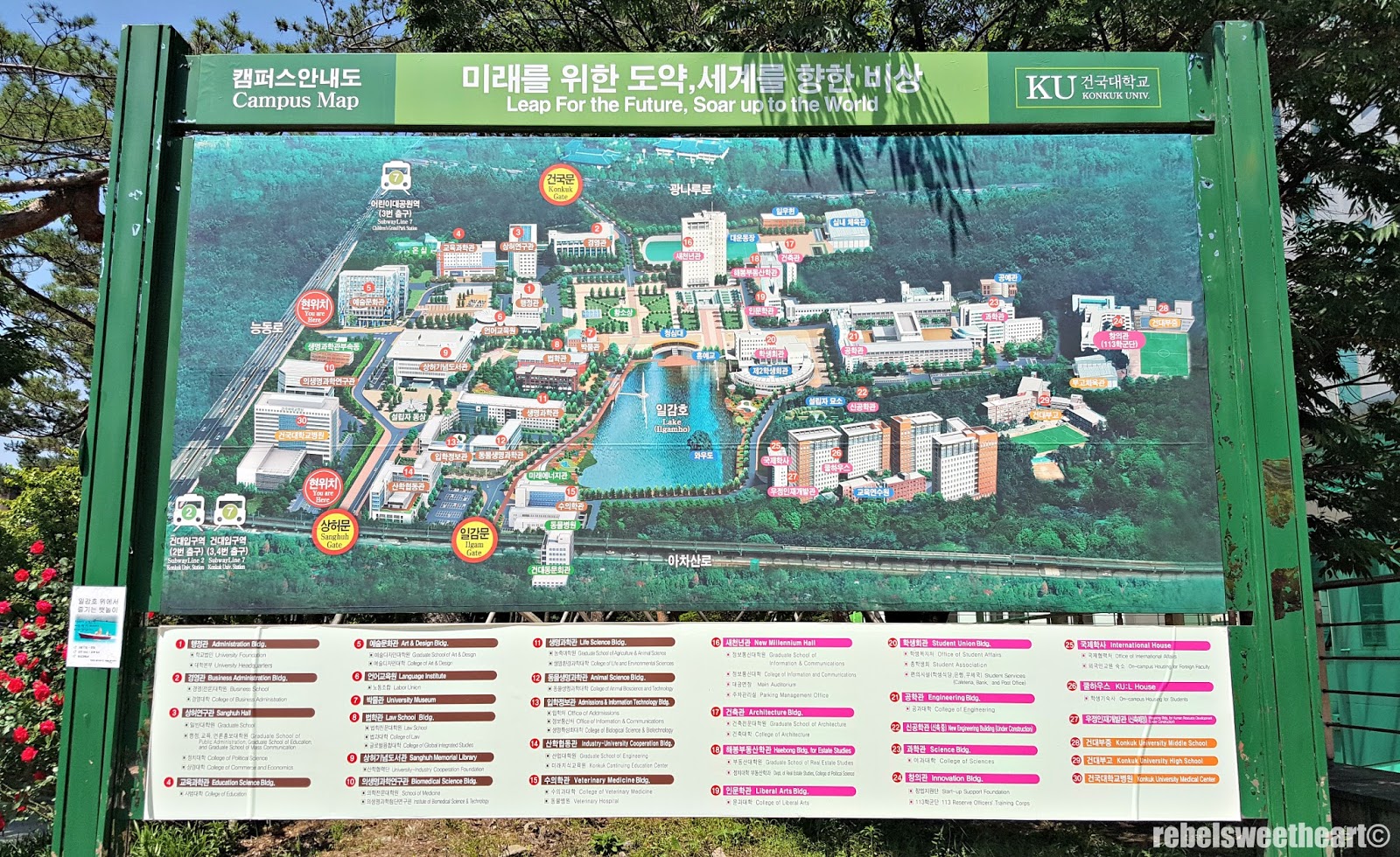 The Rebel Sweetheart.: Seoul Searching | Konkuk University + Seoul ...