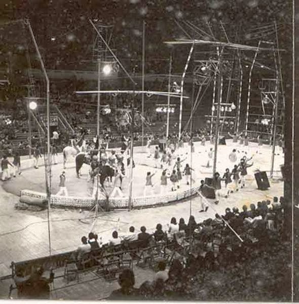 Circo o maior espetáculo da minha vida: ... E ASSIM SURGIU O CIRCO ...