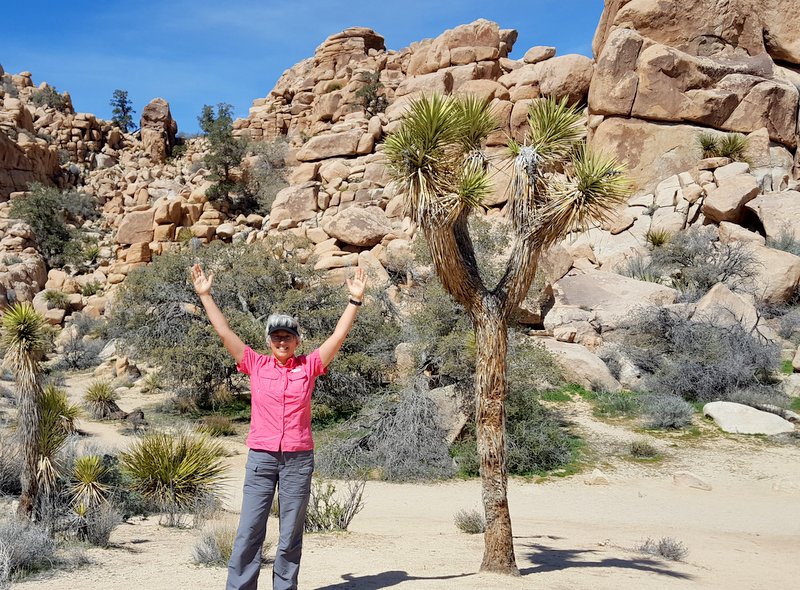 Wandering His Wonders: Joshua Tree National Park