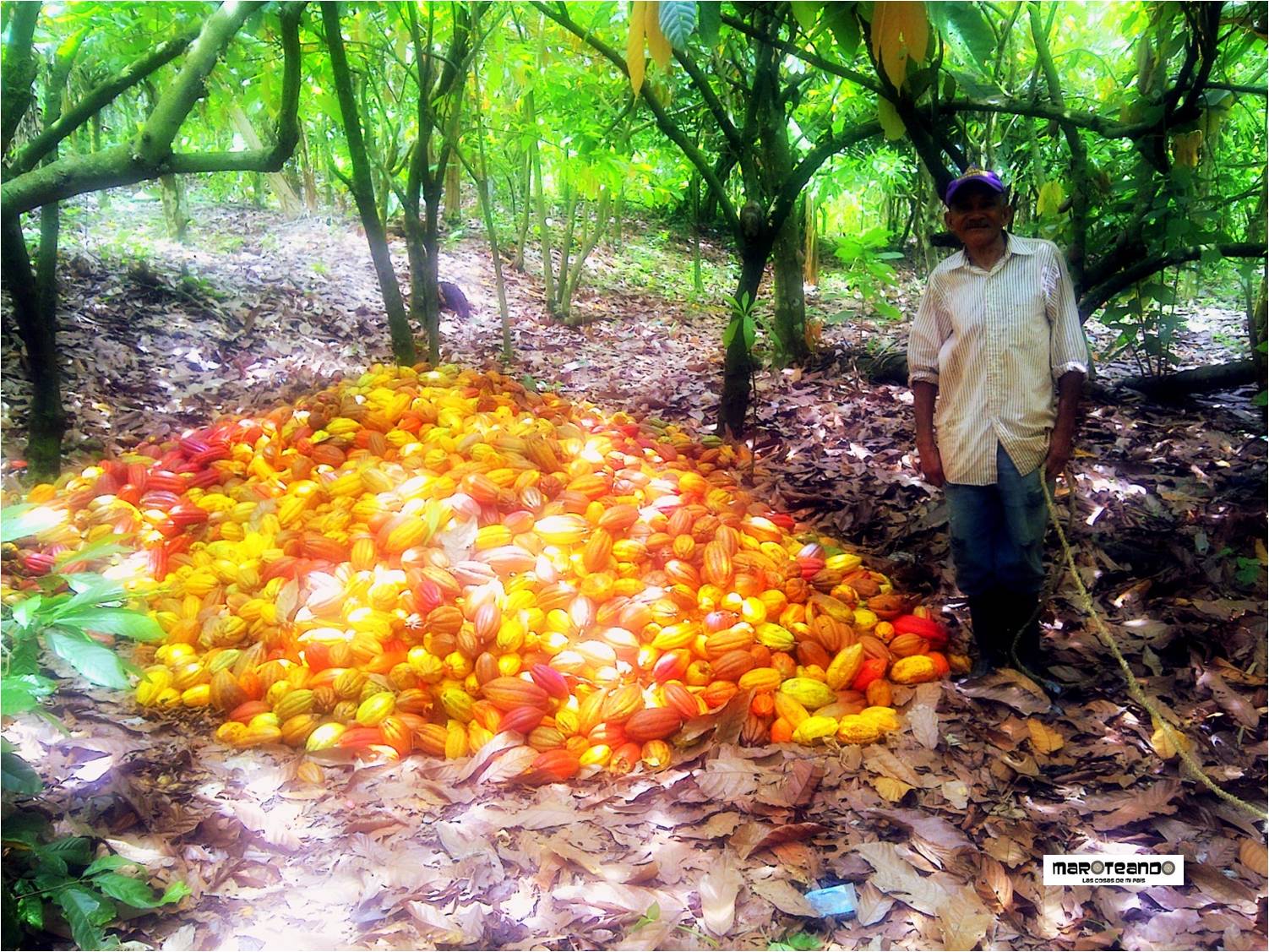 MAROTEANDORD: EN UN LUGAR CERCA DE SANTA CRUZ DEL SEIBO... LLAMADA ...