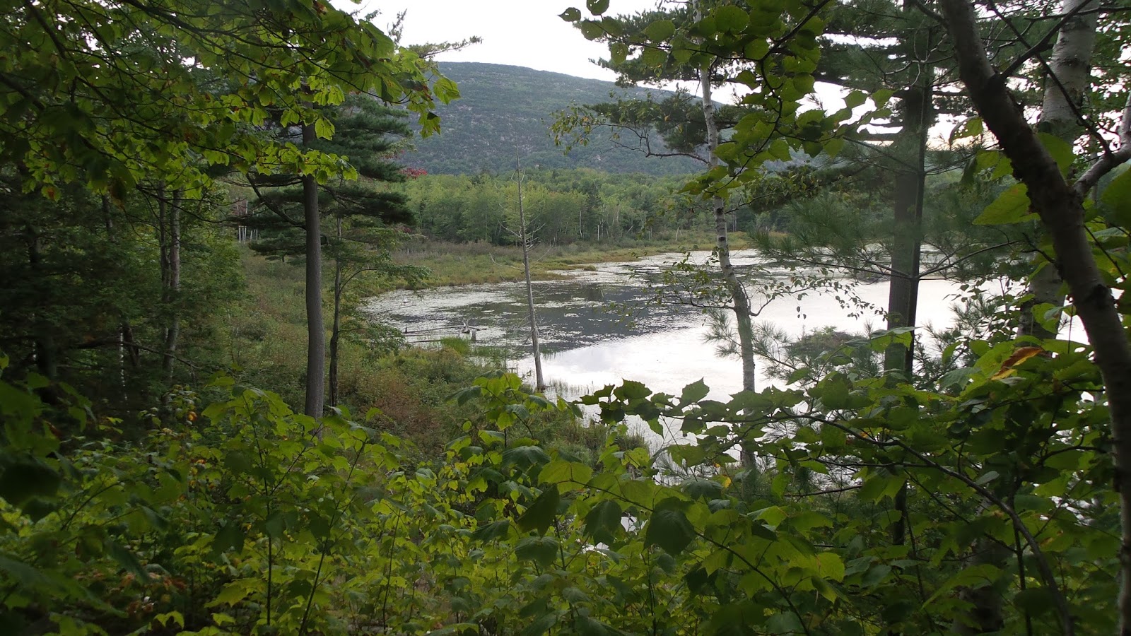 ABANDONED TRAILS OF ACADIA NATIONAL PARK: LOST GEORGE B. DORR BICYCLE PATH