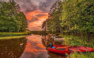 Bosque y lagos wallpapers