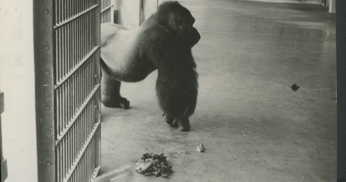 Robertwellercyberflaneur: Robert Weller AP Journalism Career