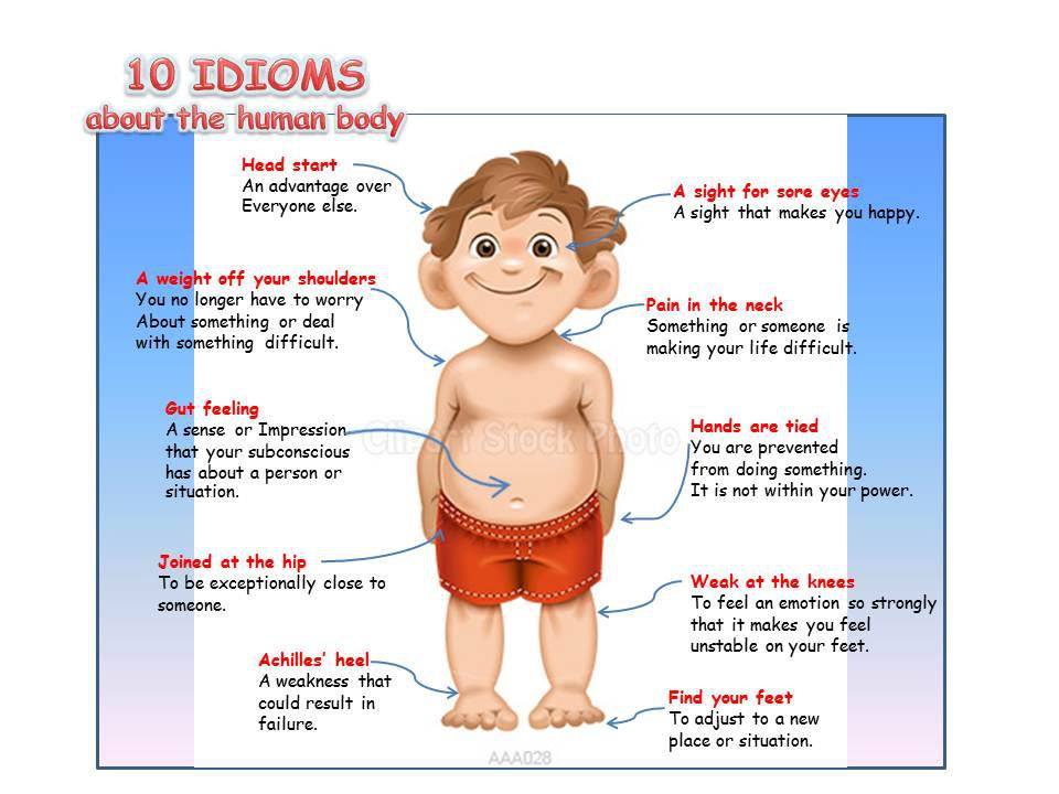 English In Jerez Language Snippets Body Idioms English In Jerez Language Snippets Body Idioms