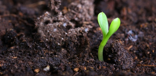 Tanah Dan Keberlangsungan Kehidupan - PENDIDIK IPA KEREN