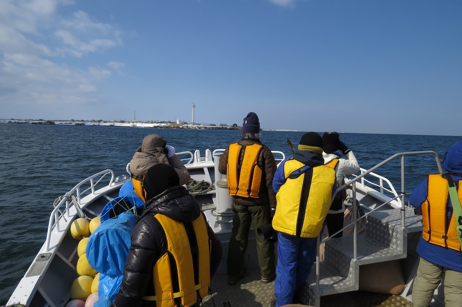 Nemuro Wildlife & Landscape Blog: 170305_Habomai Seabirds Birdwatching ...