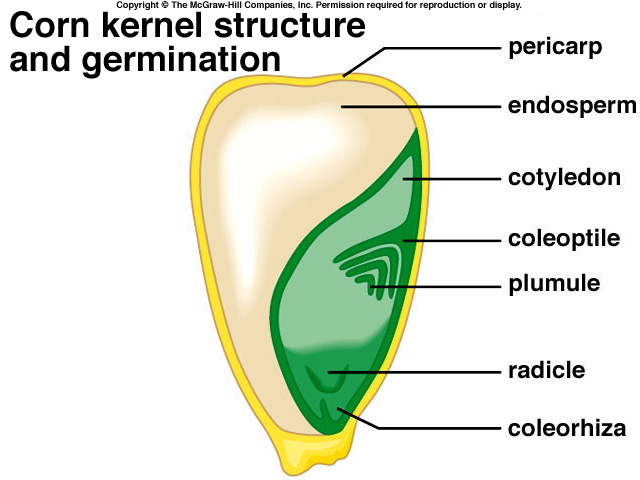 BIOLOGY TUTORIALS: February 2016