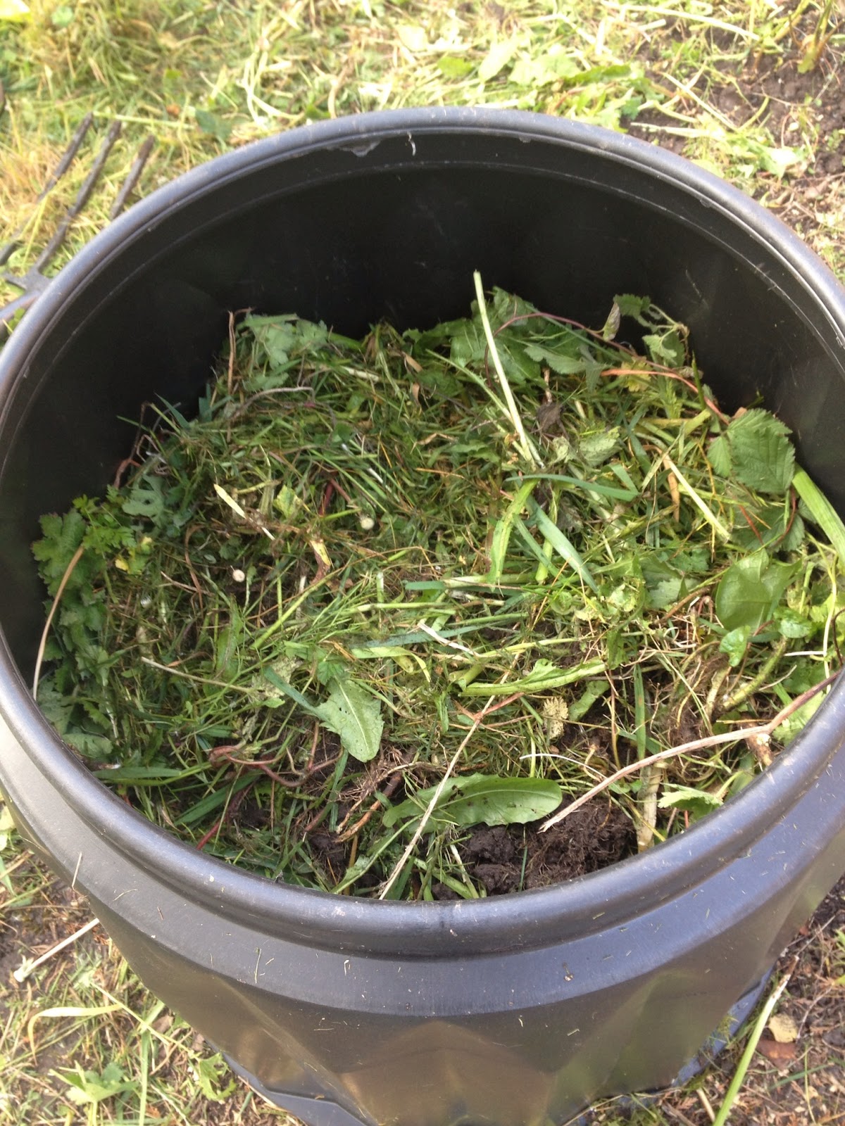 Living the good life: My composting experiment!