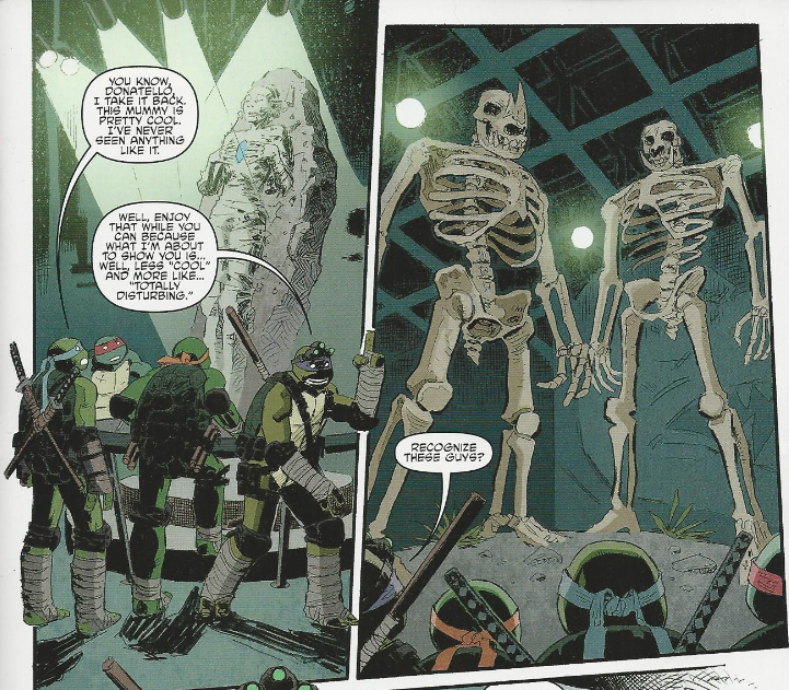 TMNT Entity: TMNT: Bebop & Rocksteady Destroy Everything! #1