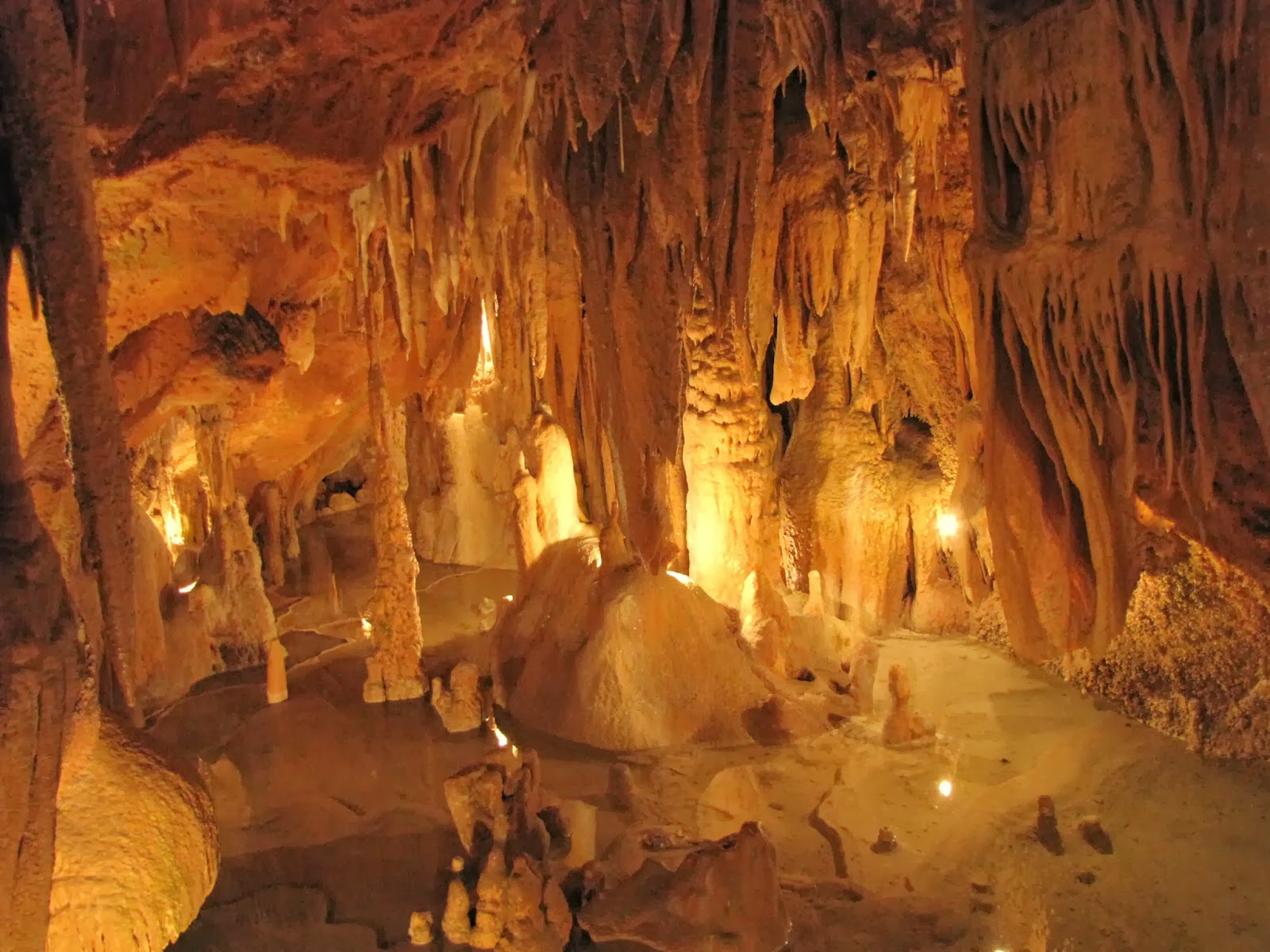 Infinito e ...: Grutas e morcegos