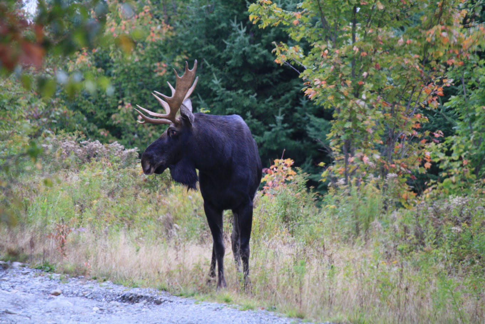 Sunday, January 8, 2012