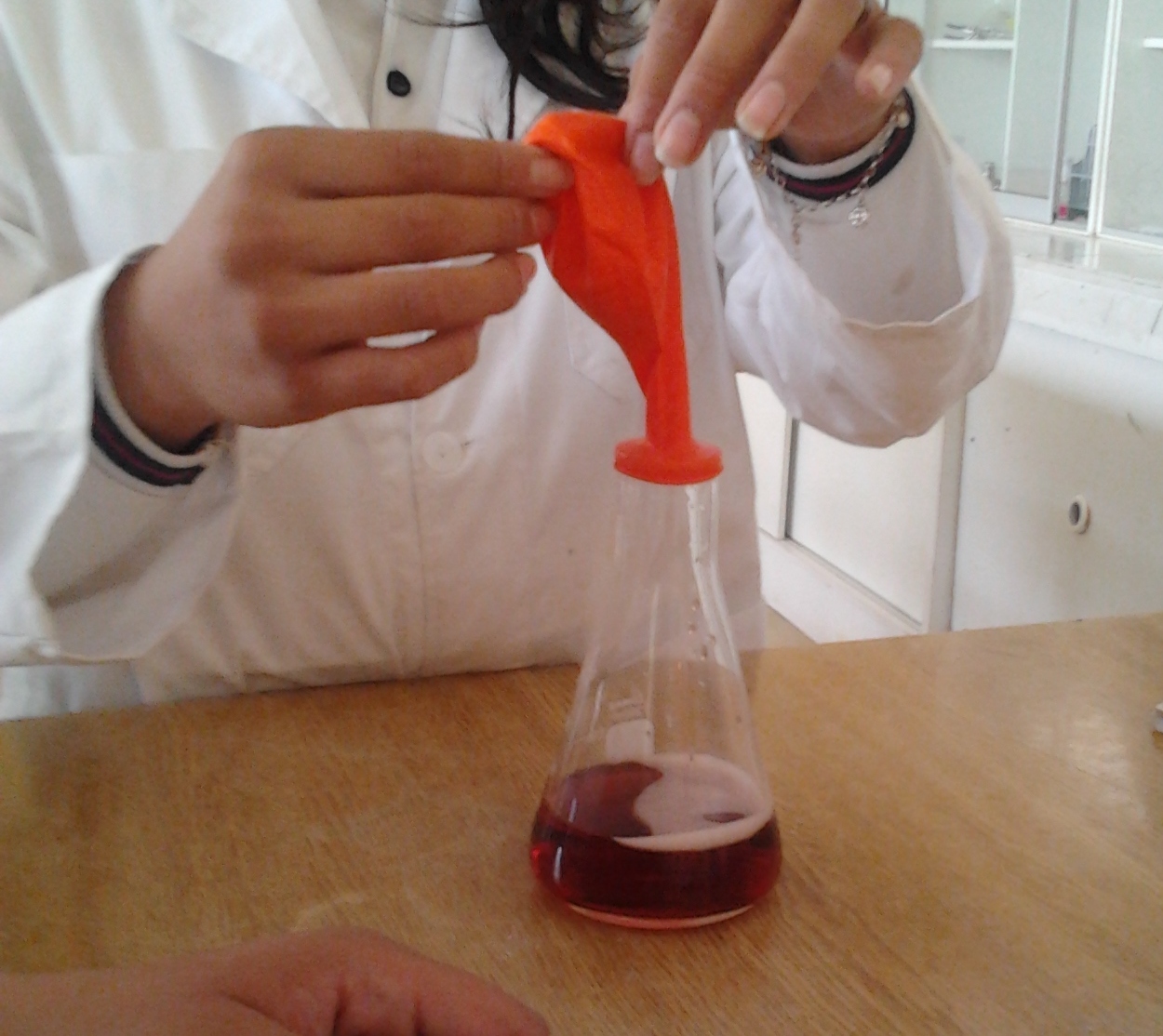 Quimica : “Conservación de la materia”