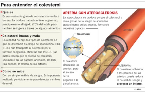 HDL Colesterol, como cuidarnos: Hdl colesterol bueno y Ldl colesterol ...