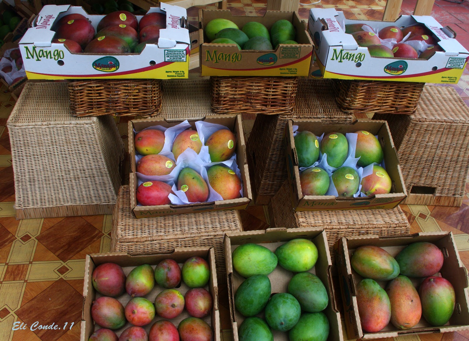 Con ojos curiosos en Rep.Dominicana: Expo mangos en "Bani:capital del ...