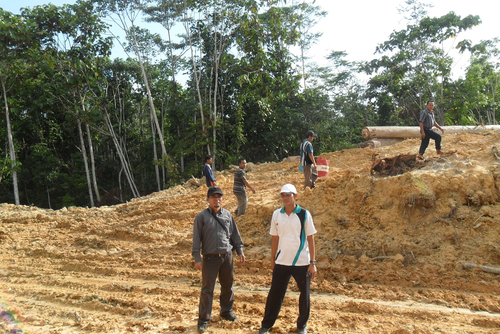 PT. MERANTI SEMBADA: UJI PETIK KAYU LHP