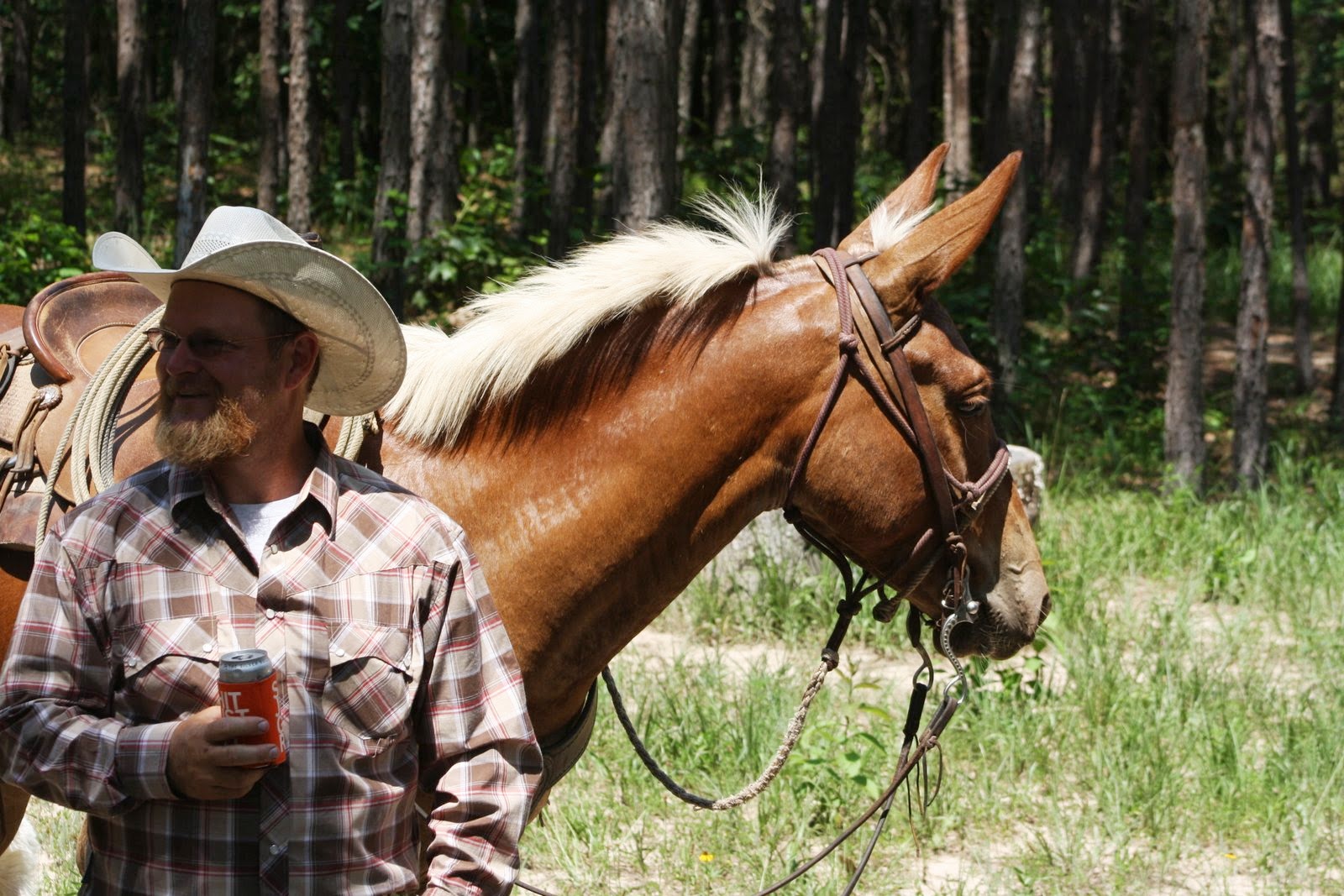 PairADice Mules: Trail Riding in July