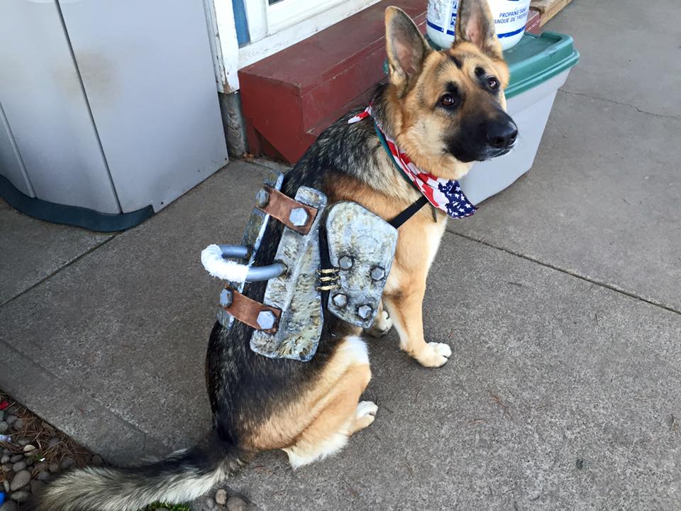 Fallout 4 - Dogmeat Cosplay