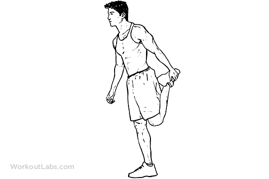 The Key to Safely Practicing Taekwondo : Stretches for your Quadriceps