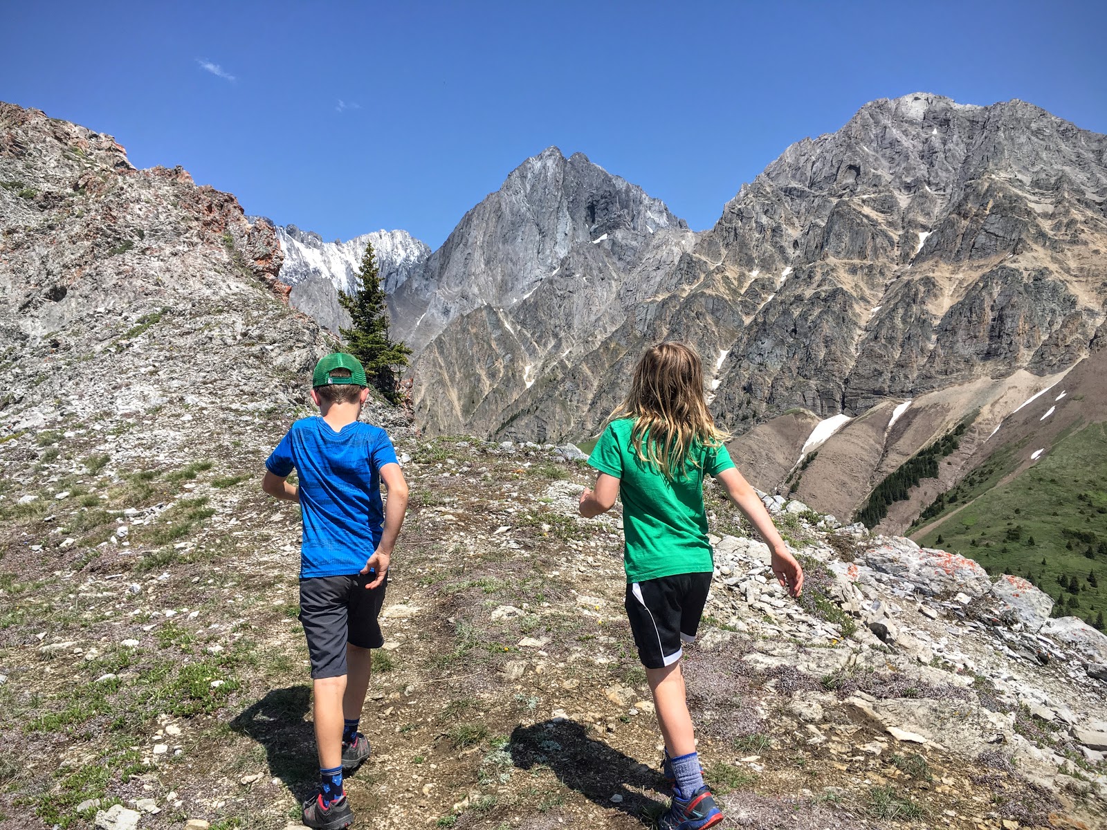 Family Adventures in the Canadian Rockies: King Creek Ridge - Family ...