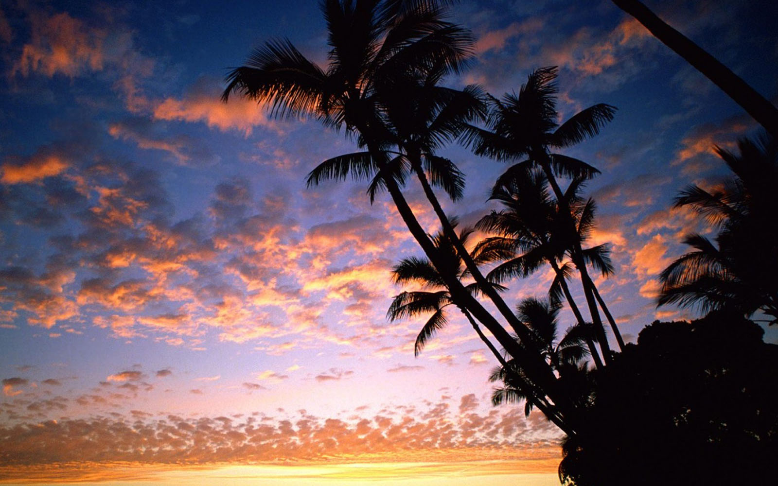 Beautiful Evening Photographs - Salon des Refusés