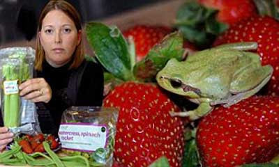 Nothing To Do With Arbroath: Woman finds tree frog lurking in fridge