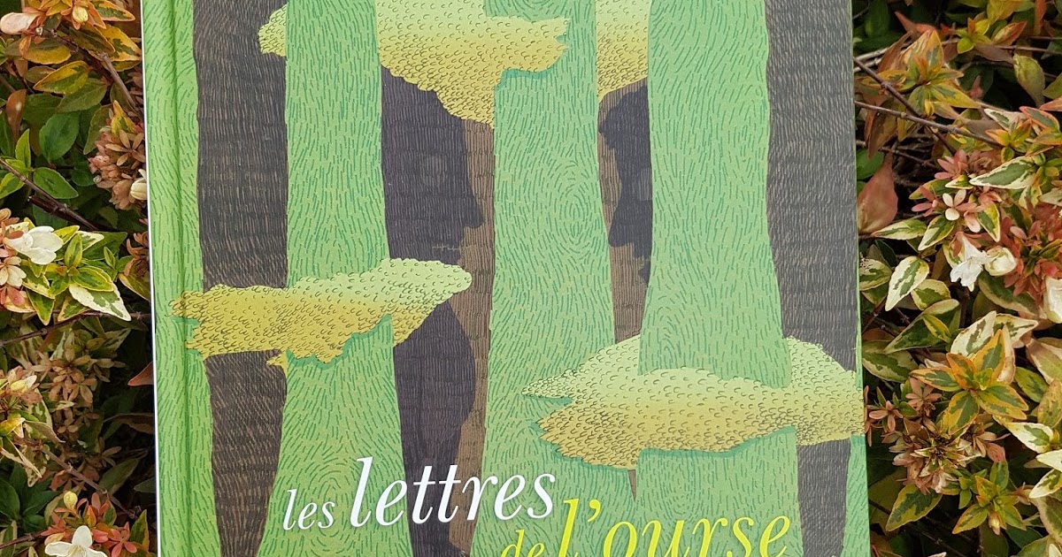 Sous le feuillage: Les lettres de l'ourse