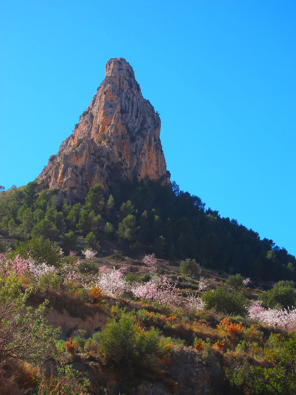 La Finestra de Fidel: Penya del Figueret (Relleu), la penya infinita.