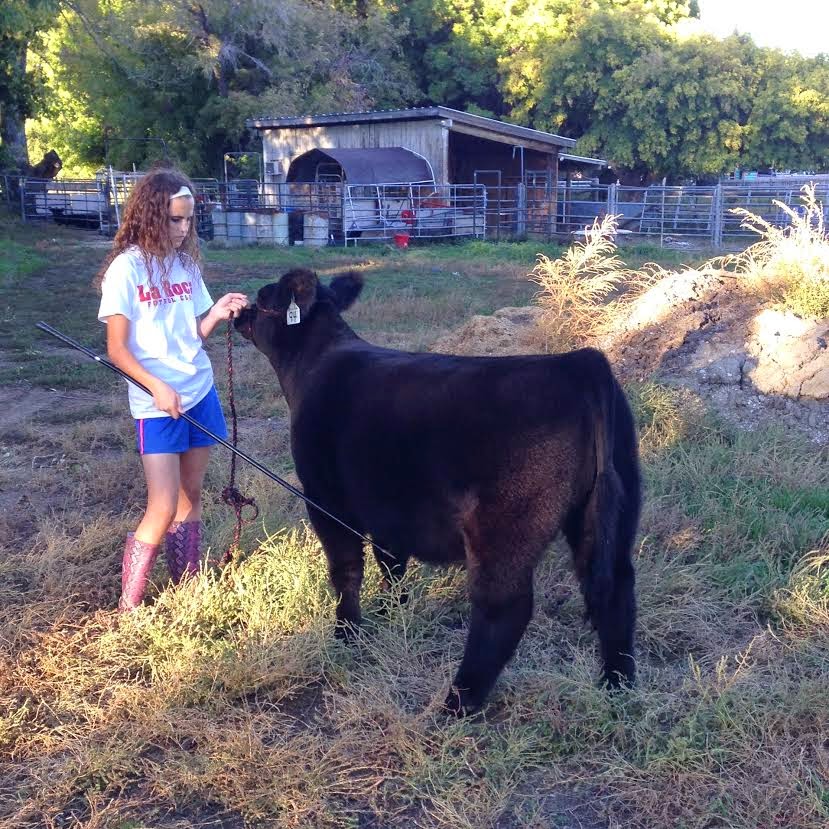 Bushman Cattle Company