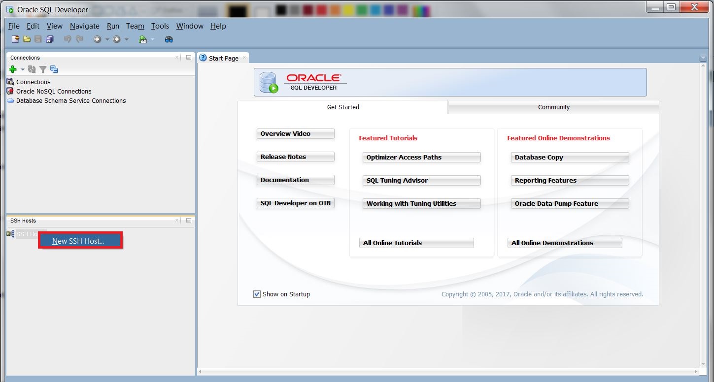 Netsoftmate Technical Blog Step 8 Oracle Dbcs Ssh Tunneling And Connecting To A Database