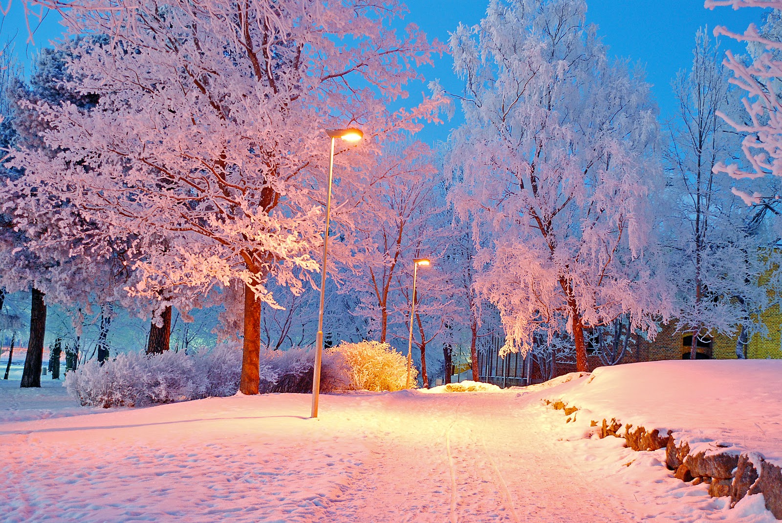 En fräknig flickas foton & funderingar: Vinterbilder