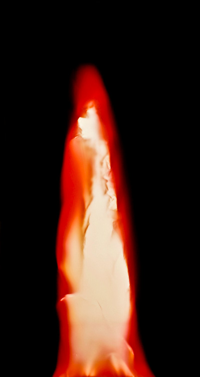 ArtHive: Danny Treacy - Photographer