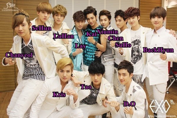 Seoul in My Spirit: EXO macros and GIF for you~...