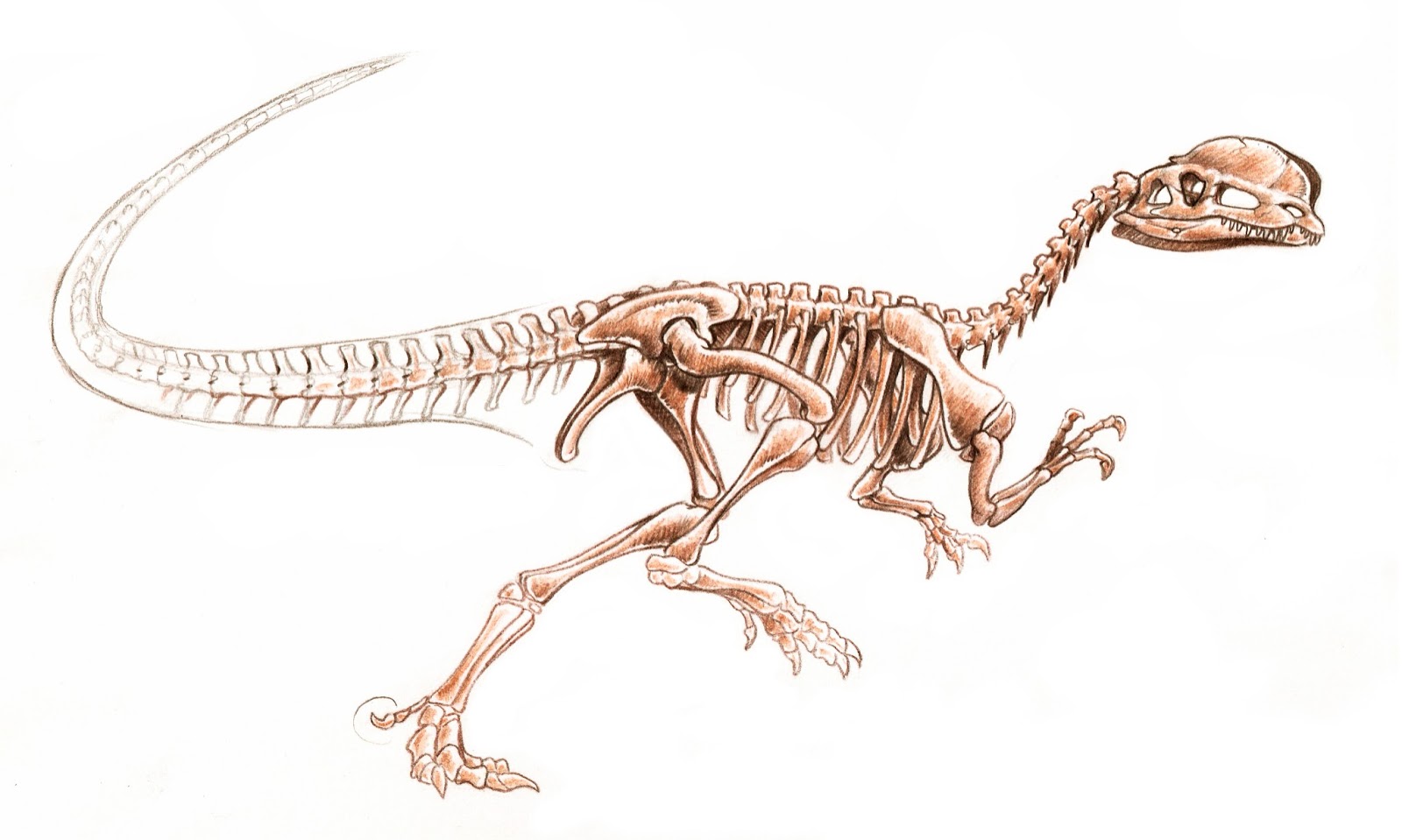 Gabriel Lio - Ilustraciones