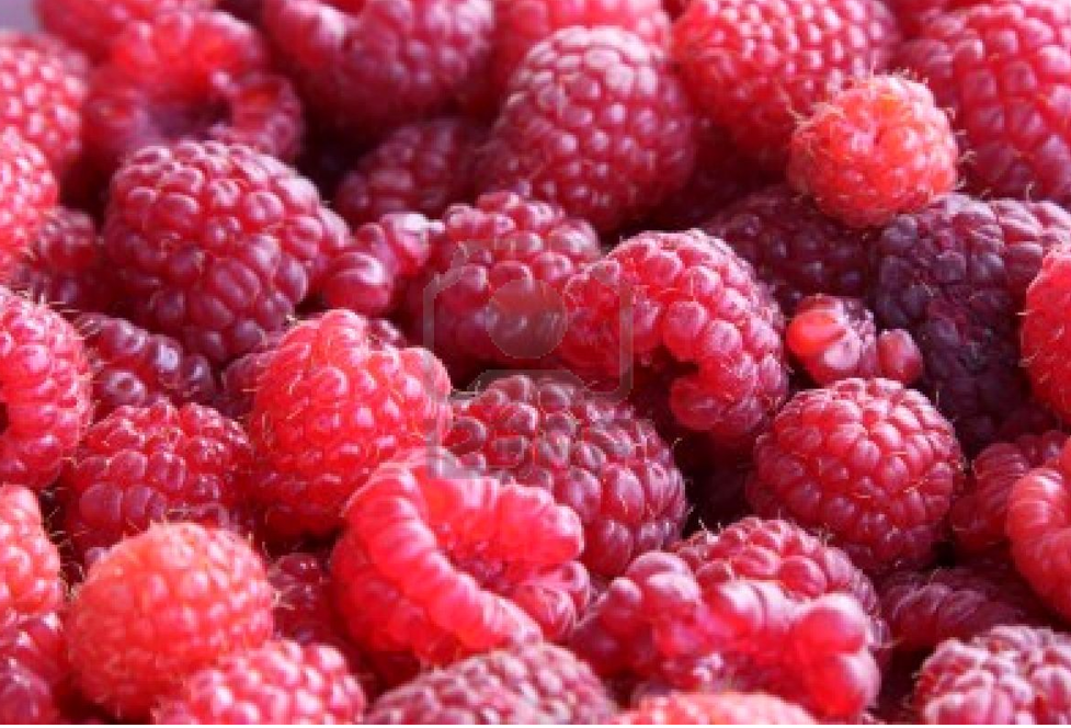 Bilder-Bibliothek: Himbeeren - Nahaufnahmen, Großaufnahmen