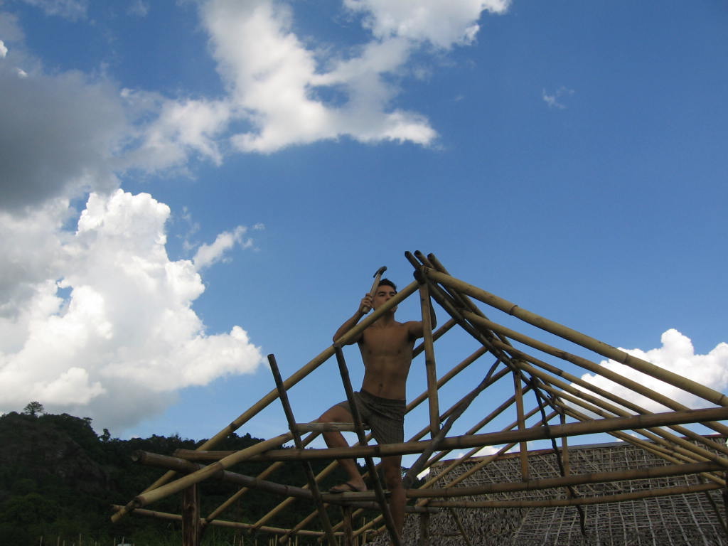 Talahib ~ The Coconuter